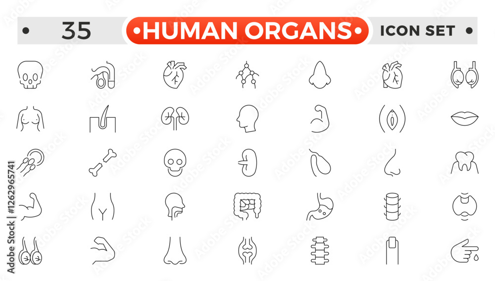 Human Organs outline icon, Organs, anatomy flat line icons set. Human ...