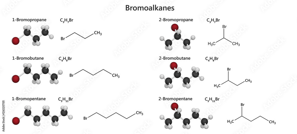 Set of Bromoalkanes. Organic compounds where hydrogen atoms in alkanes ...