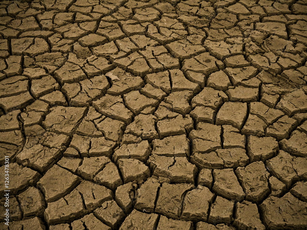 Dry cracked earth with deep fissures forming a rough pattern. The soil appears parched and arid ...