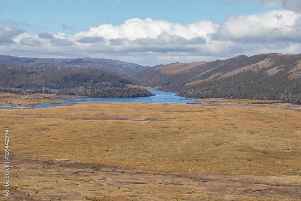 Expansive view of Wilmot's golden plains and winding waterways under a ...