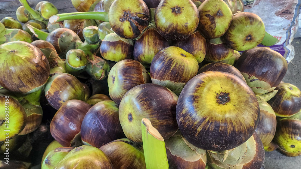 Fresh fruit of palm sugar trees for sugar production and beverages and ...
