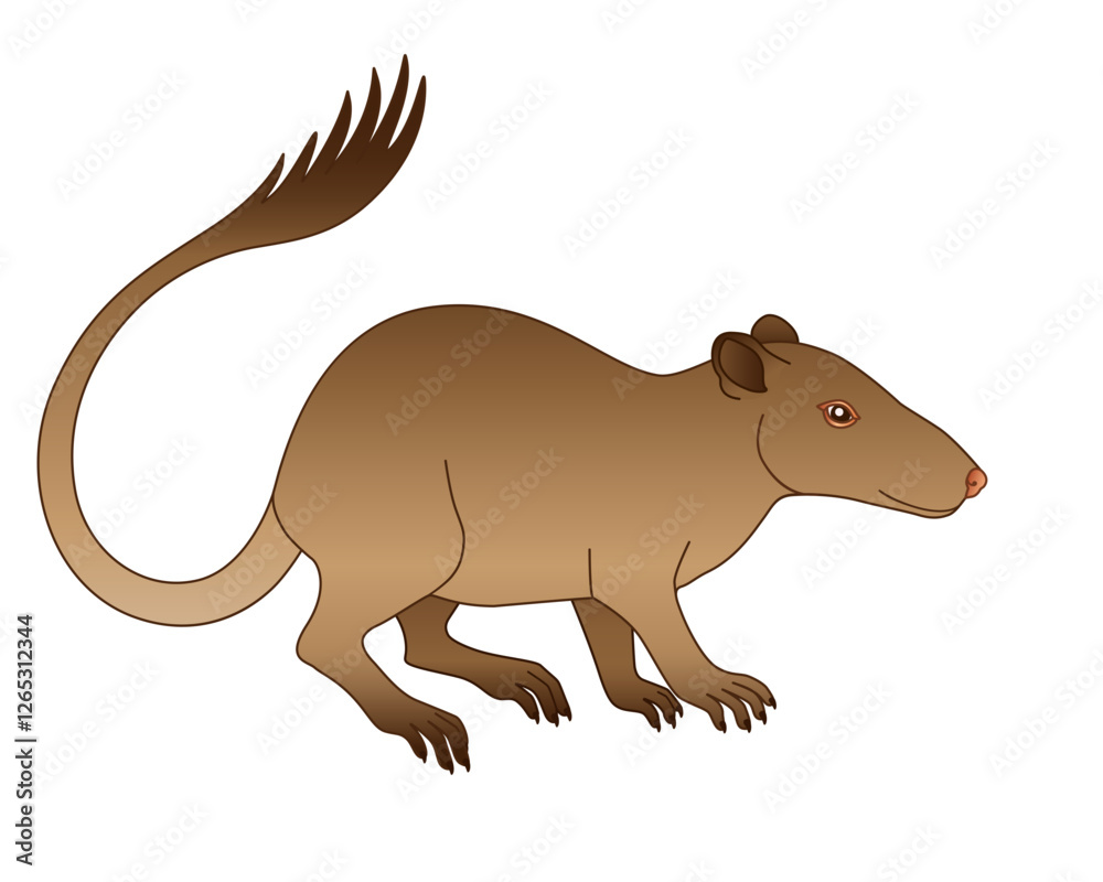 Purgatorius - extinct prehistoric primate - ancestor of apes and humans ...