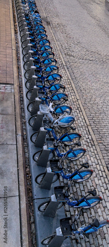 Long row of Citibike New York City bike share bicycles docked at their ...