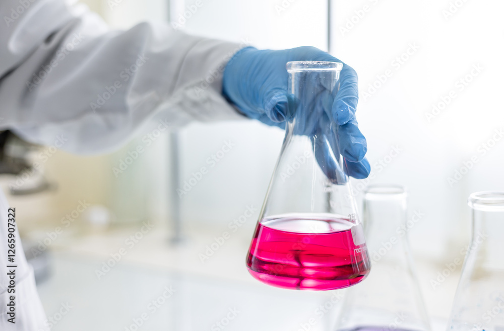 The scientist wear blue nitrile gloves holding Erlenmeyer Conical flask ...