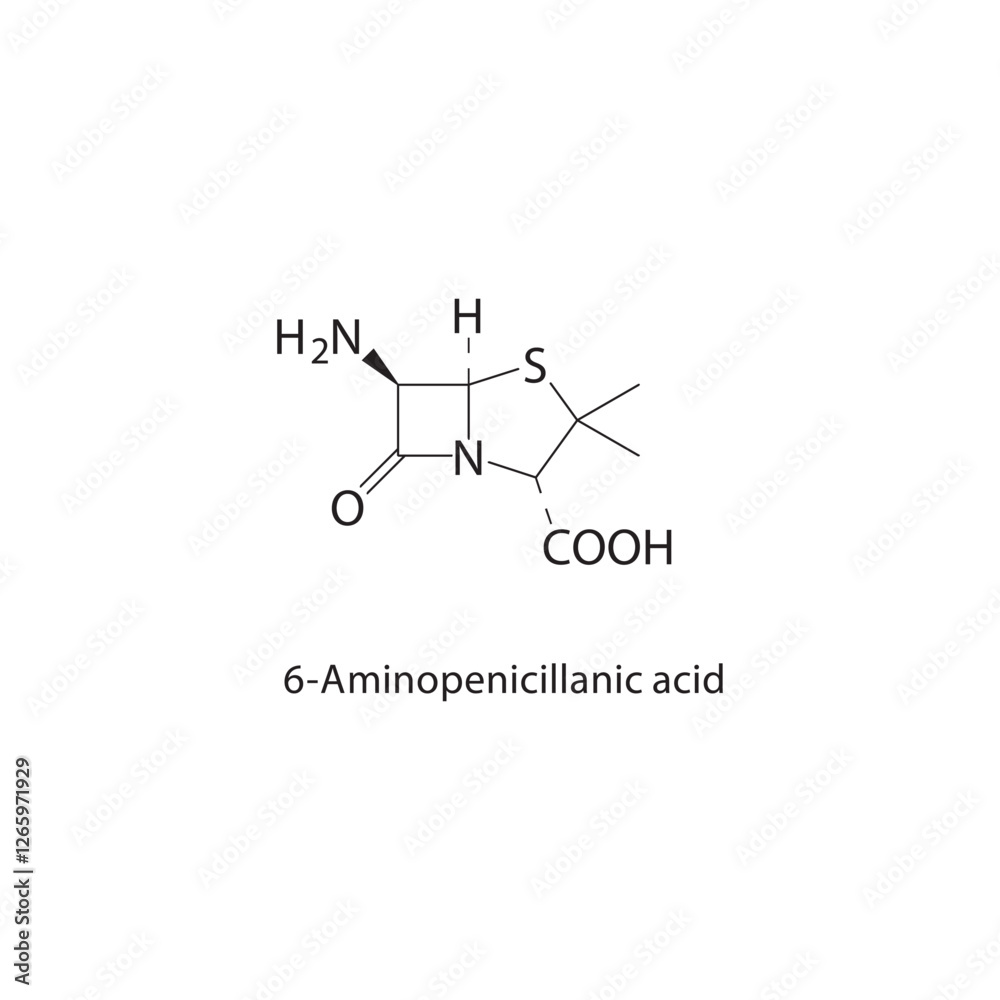 6-Aminopenicillanic acid skeletal structure.Beta-lactam antibiotic ... 6-Aminopenicillanic acid skeletal structure.Beta-lactam antibiotic ...