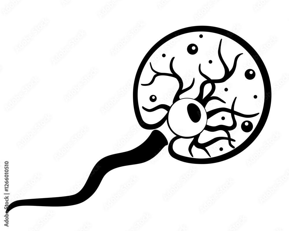 Noctiluca scintillans, sea sparkle animal - vector silhouette picture ...