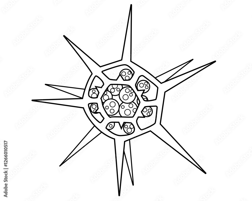 Dictyocha - microscopic unicellular plant algae - vector line picture ...