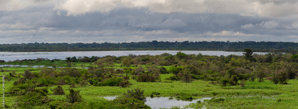 Vista panorámica de un rio en la amazonia peruana, Iquitos Perú Stock ...