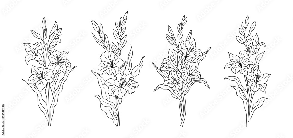 Set of Gladiolus flower line art drawings. August birth month flower ...
