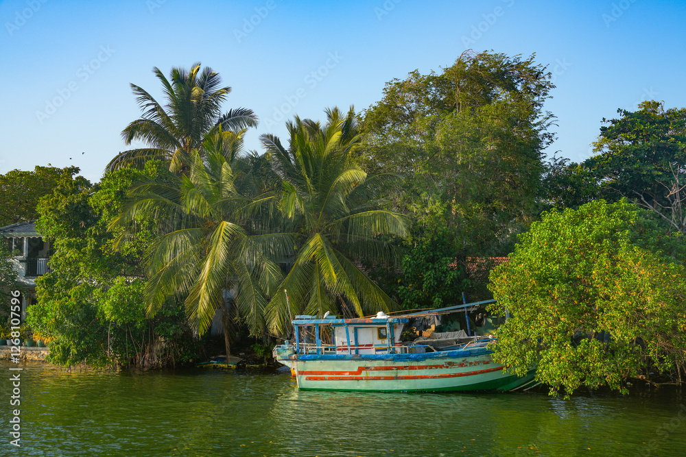 Colorful fishing boats on Negombo Lagoon, Colombo, Sri Lanka, Asia ...