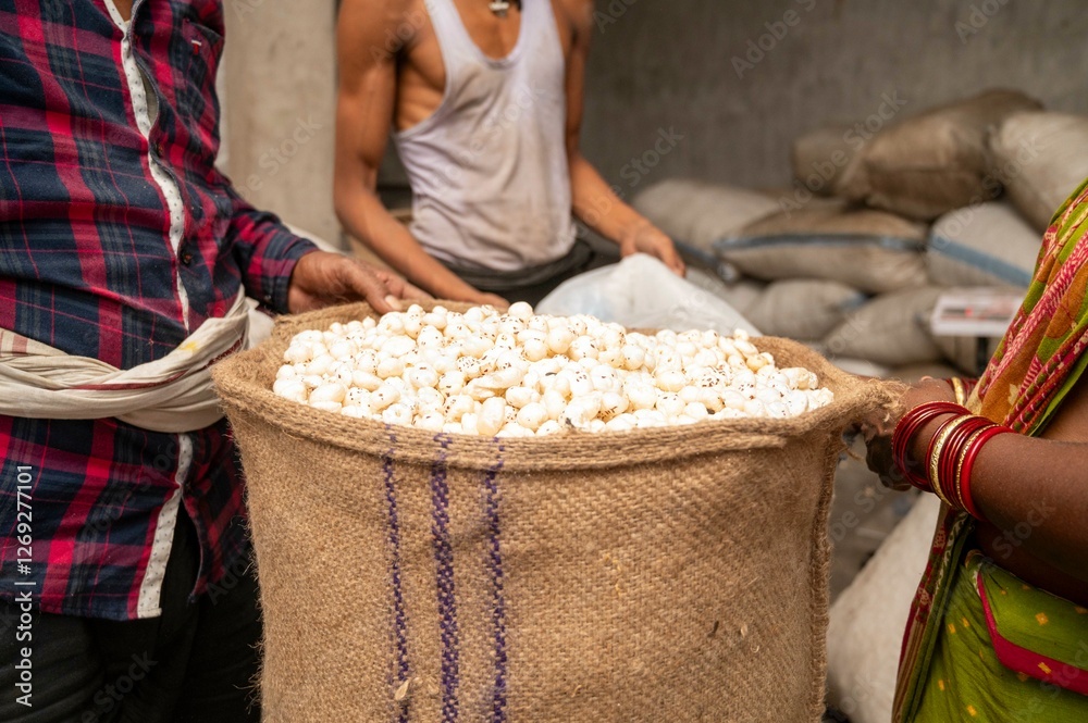 Makhana (Fox Nut) Farming Process – Traditional Cultivation, Harvesting ...