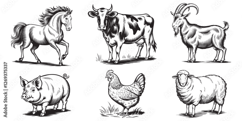 Farm animals in black and white, vintage engraving style. Includes a ...