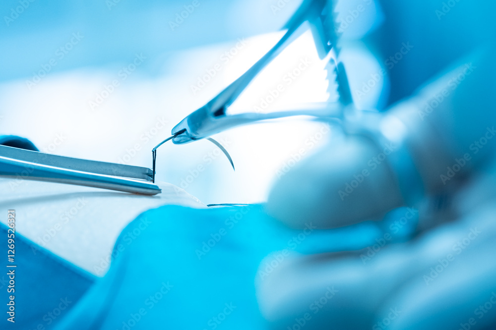 Doctor hand wear sterile gloves and surgery scissor stitching up wound ...