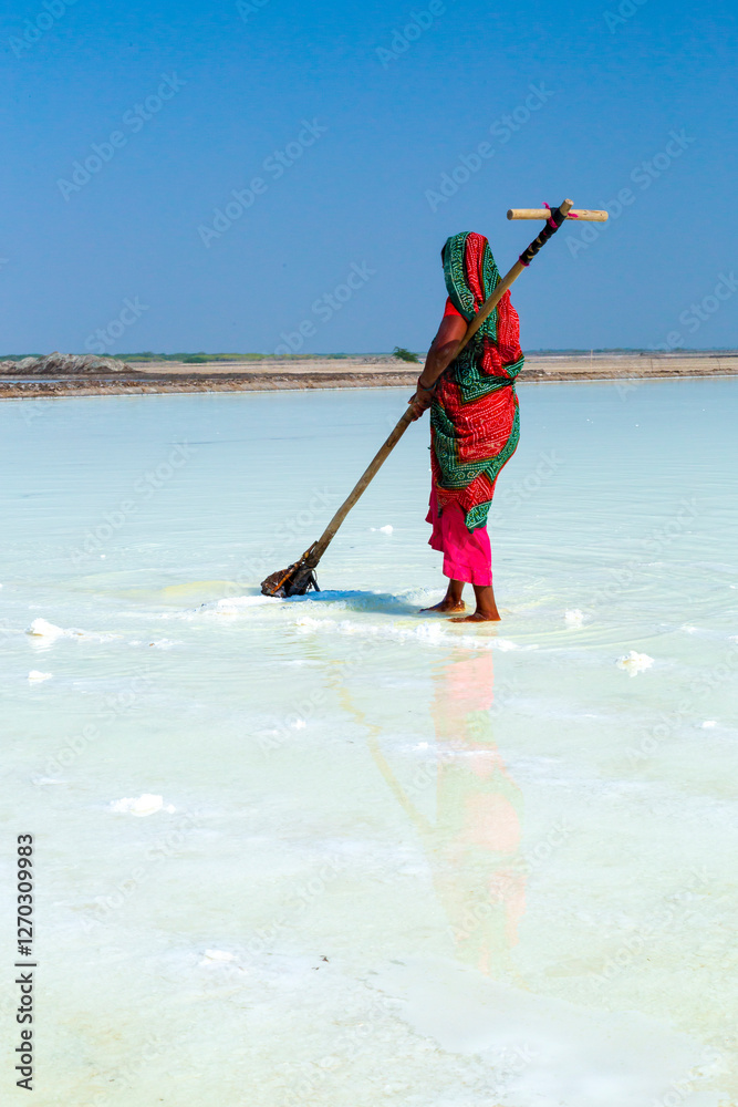 Asia, South Asia, India. Great Rann of Kutch, salt marsh in Thar Desert. One of the largest salt ...