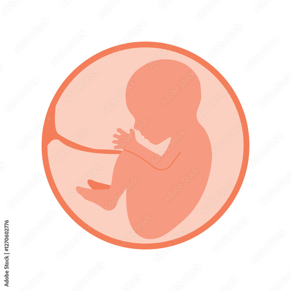Baby in the womb. Pregnancy and health of mother and unborn baby. Fetus ...