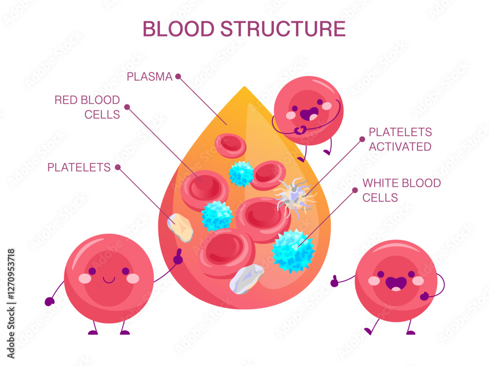 Cute Blood Structure With Cartoon Cells. Vector medical illustration of ...