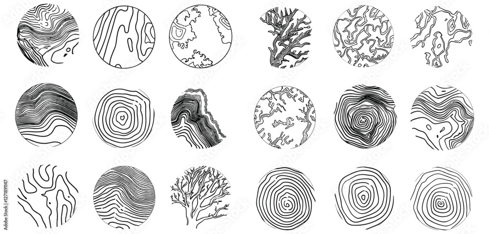 Set of vector illustration rings with topographic lines, wood rings ...