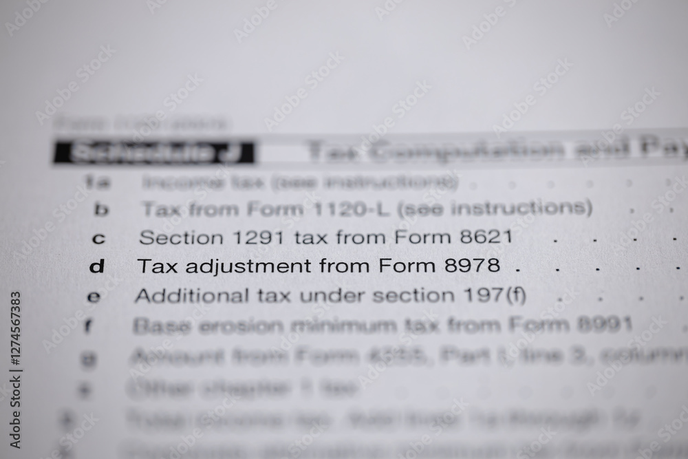 Tax form close-up showing computations: income tax, taxes from forms ...