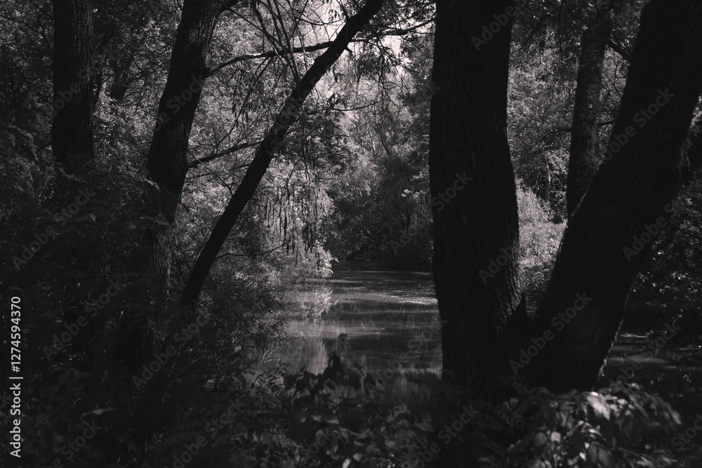 Foto de Stock Dark summer river, Atmospheric Black Metal forest, dark ...