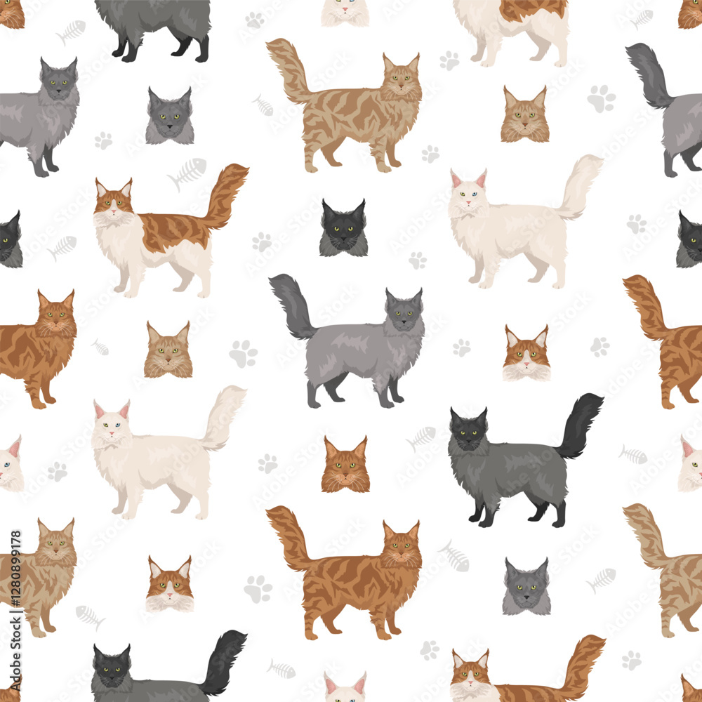 Maine Coon Cat clipart. All coat colors set. All cat breeds ...