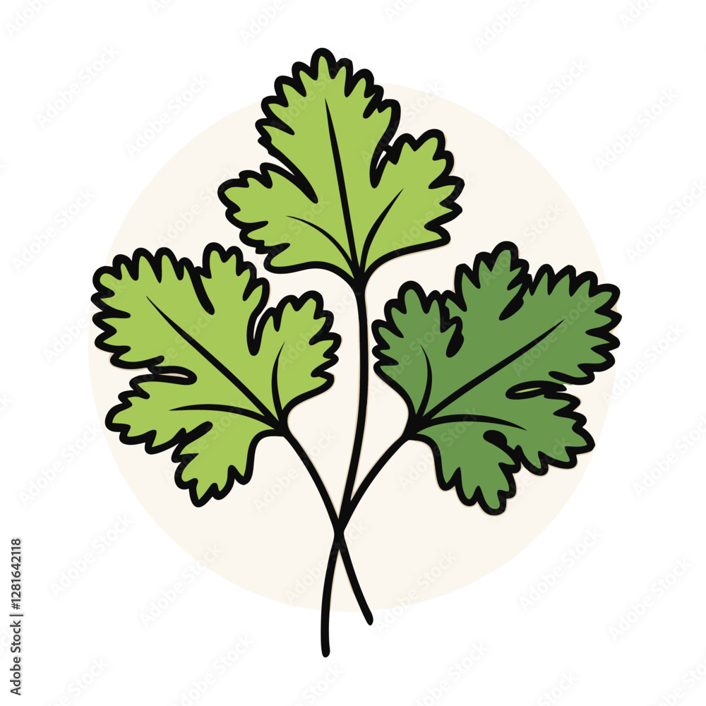 Simple cilantro sprig in muted green with black outlines. Clean cartoon ...