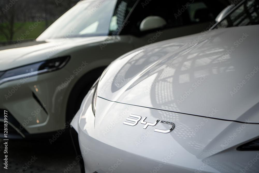 Car logo of a BYD Build Your Dreams car. Stock Photo | Adobe Stock