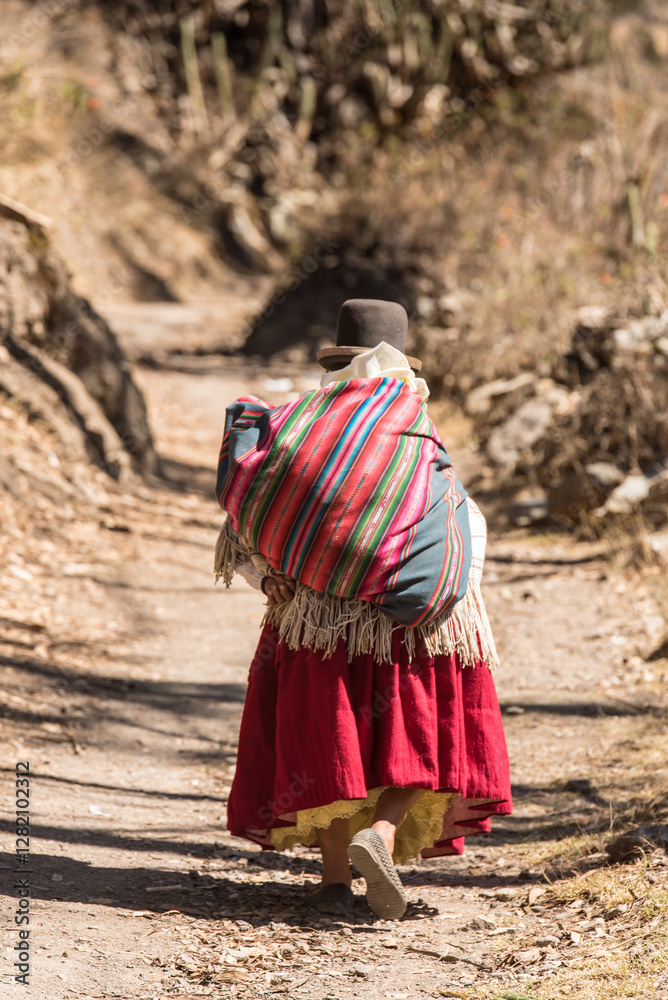 aymara woman with traditional clothes walking uphill carrying goods in ...