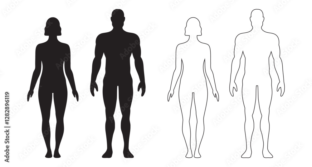 human body man and woman silhouette, male and female figure. vector ...