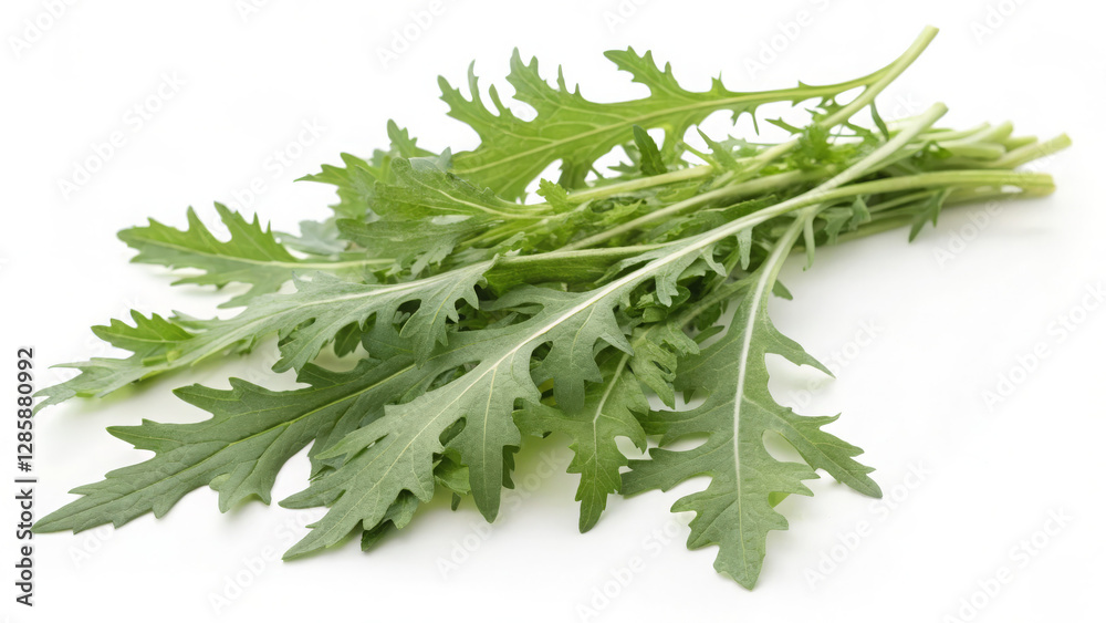 Feathery mizuna leaves sprawl on white transparent background, Sunlight ...