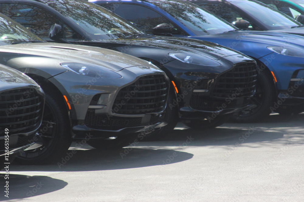 Aston Martin / Luxury Sports Car Brand with Elegant Styling & High ...