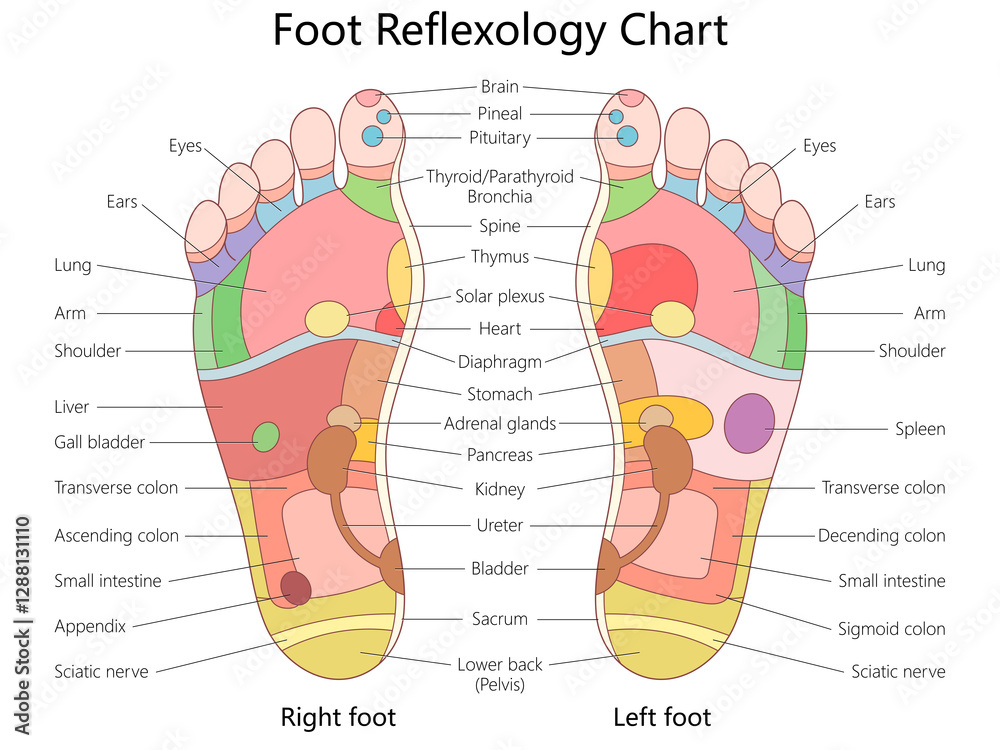 foot reflexology chart illustrating pressure points on left and right feet, linking areas to ...