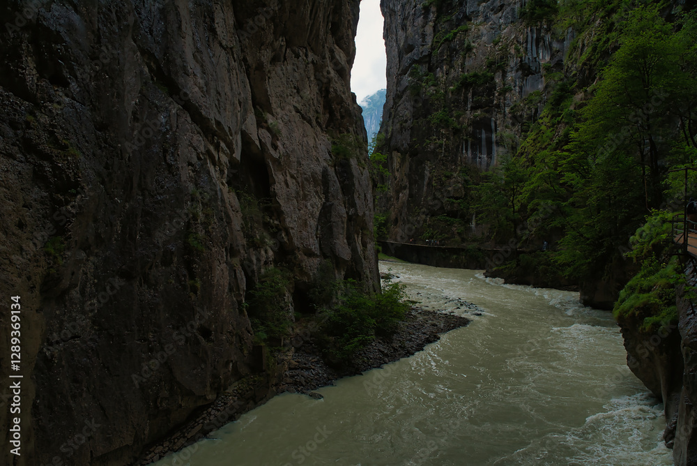 Canyon of the Aar Gorge - Aareschlucht on the Aare River in the canton ...