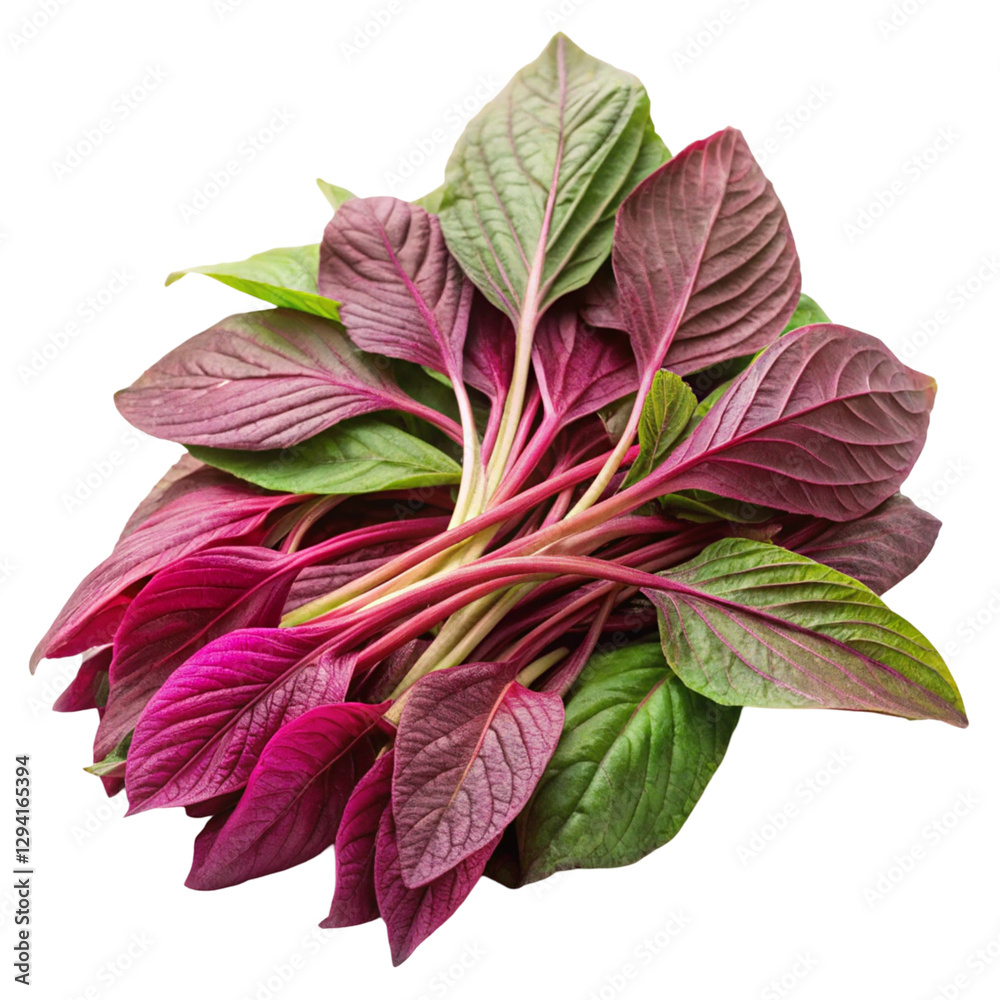 Amaranth leaves nutrition health benefits and how to cook this nutrient ...