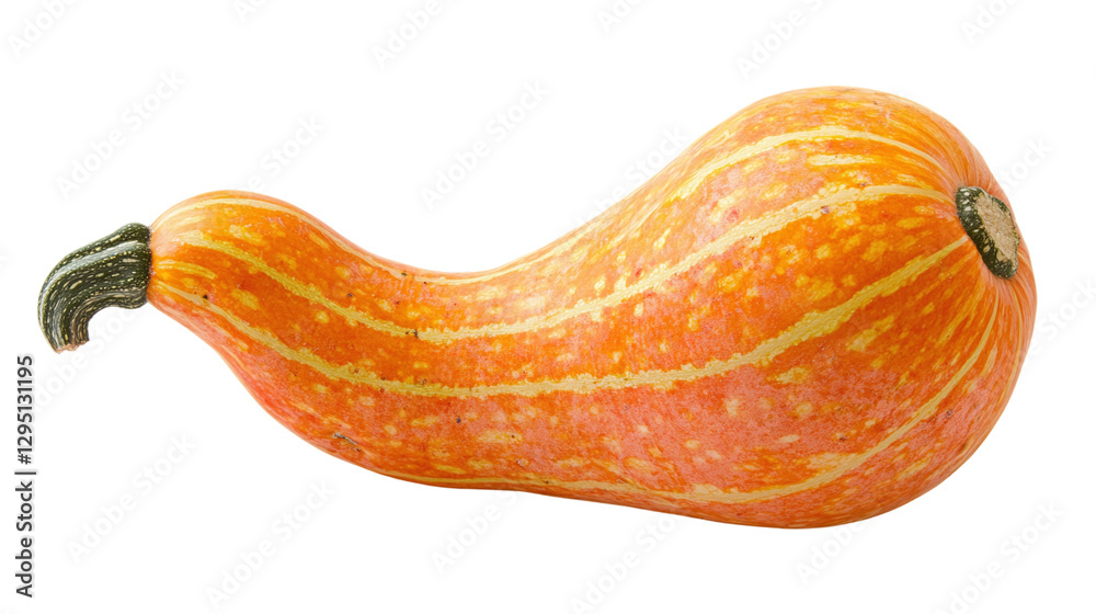 Fresh apple gourd vegetable isolated on transparent background for ...