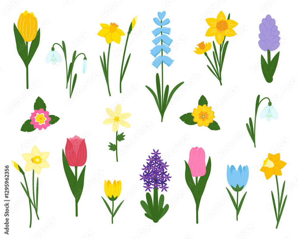 Spring floral elements collection. Set of wildflowers flowers on white background. Flower ...