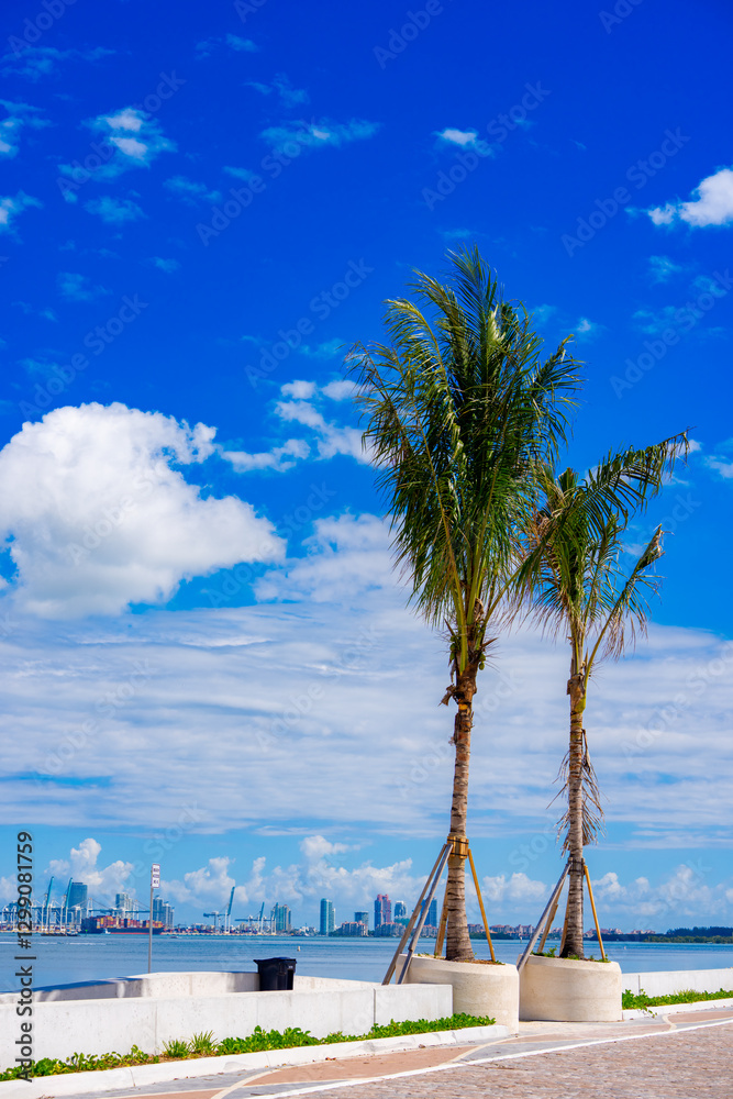 Miami Florida scene. View of new palms on Key Biscayne Rickenbacker ...
