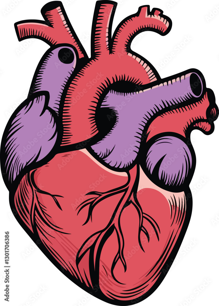 human heart stickers anatomy Stock Vector | Adobe Stock