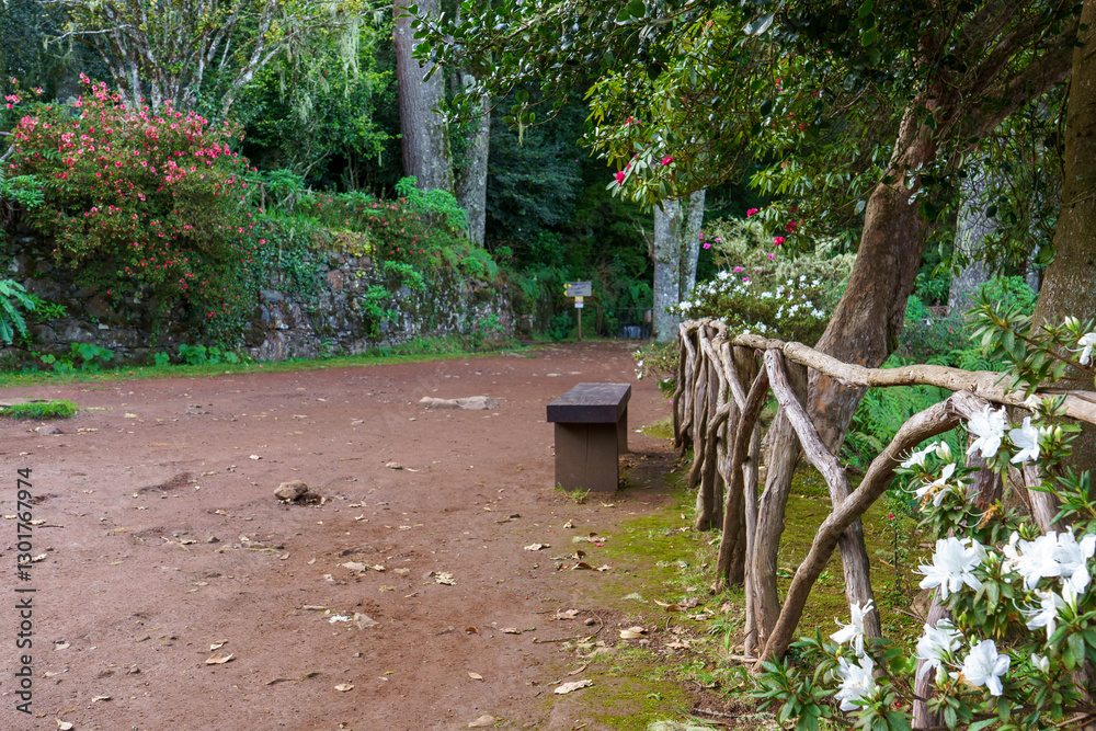 Recreational area in Parque Florestal das Queimadas and Levada do ...