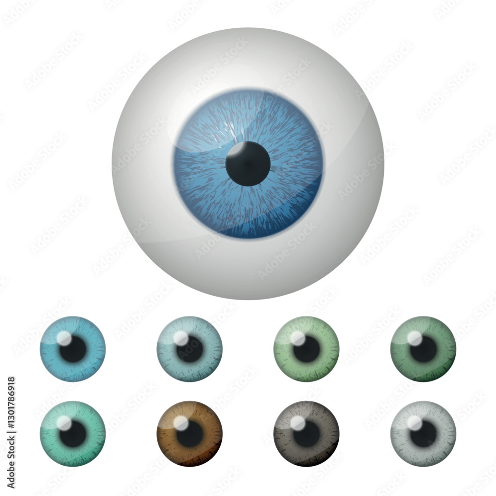 Realistic Vector Isolated Round Eyeballs Set With Various Pupil Colors ...