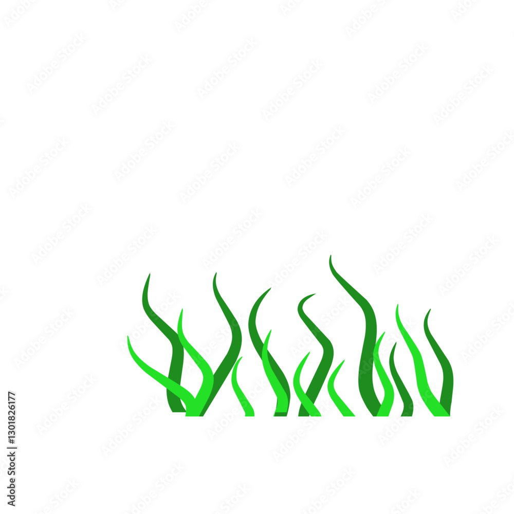 Marine Algae Plants Stock Vector | Adobe Stock