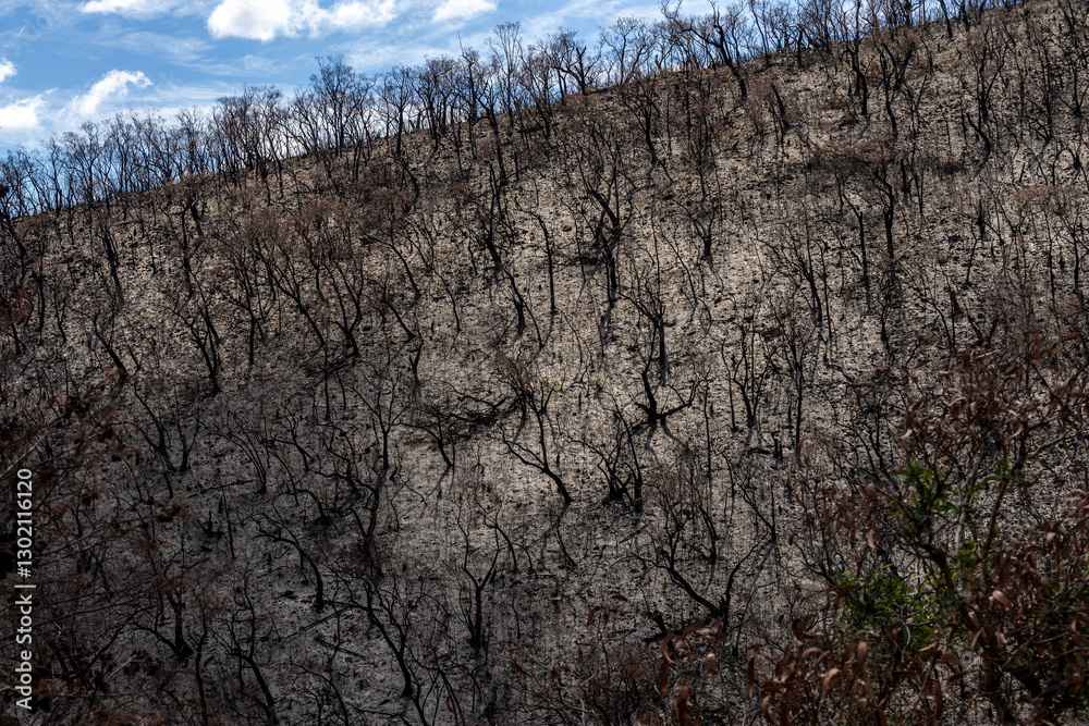 Bushfire damage from the 2025 bushfires started by lightning strikes in ...