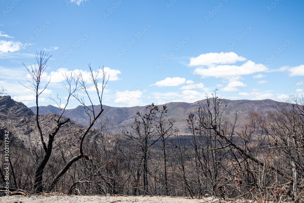 Bushfire damage from the 2025 bushfires started by lightning strikes in ...