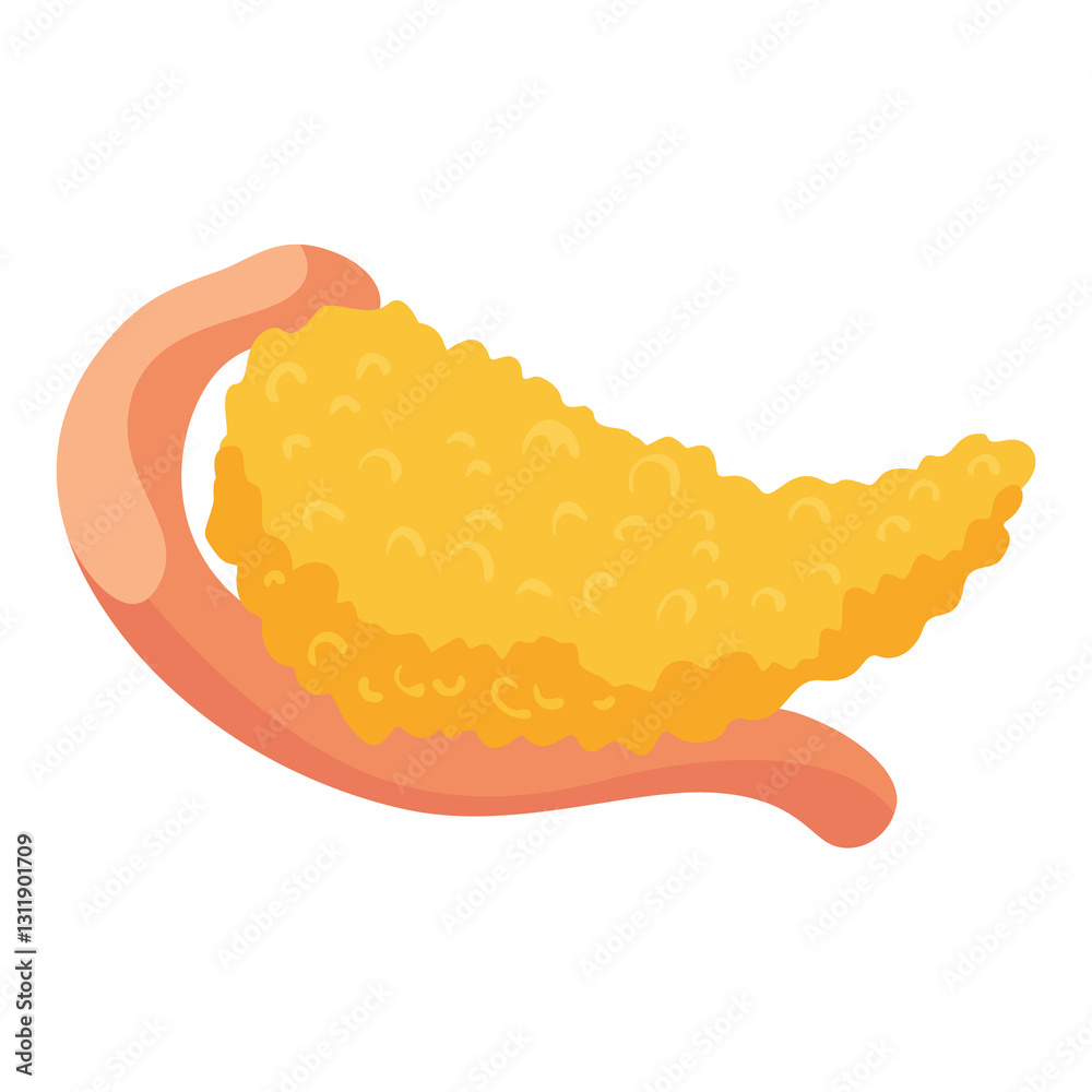 Internal human body organ - pancreas, info poster. Medical anatomy ...