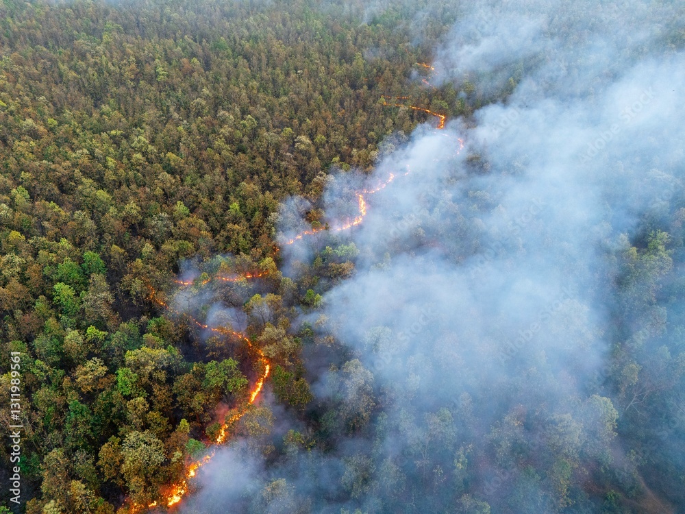 Forest fire from above, spreading rapidly, emitting CO2 and other gases ...