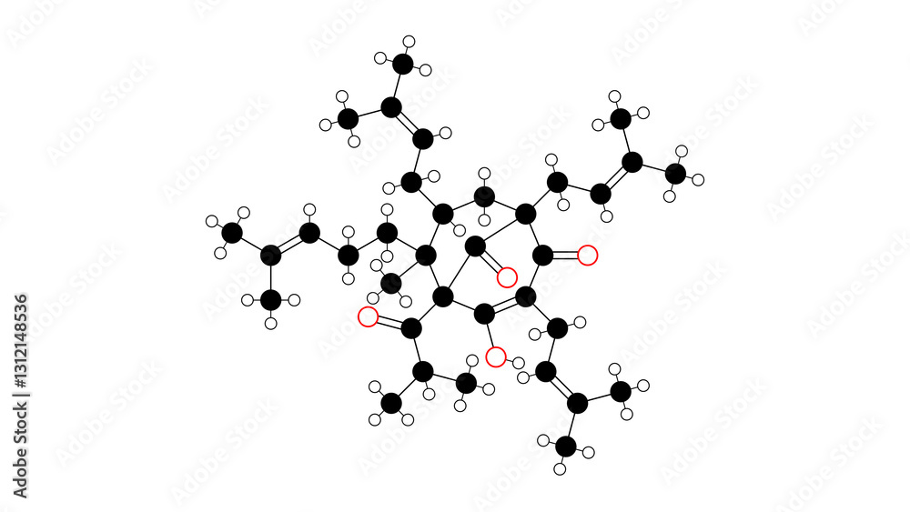 Hyperforin Molecule Structural Chemical Formula Ball And Stick Model Isolated Image
