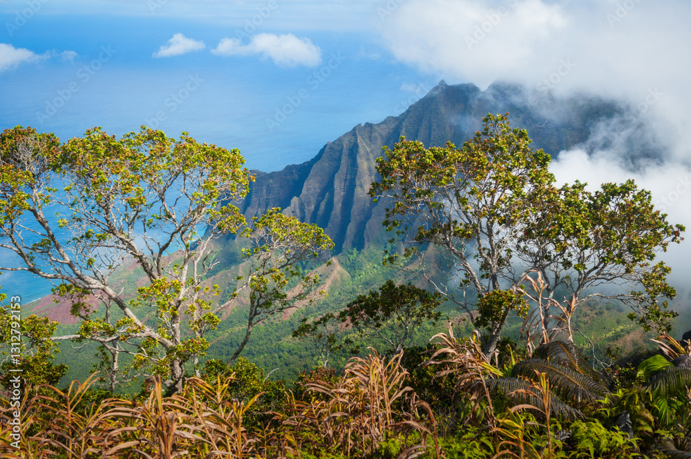 Stock-Foto „At almost 4,000 feet high, this lookout point in Kokee ...