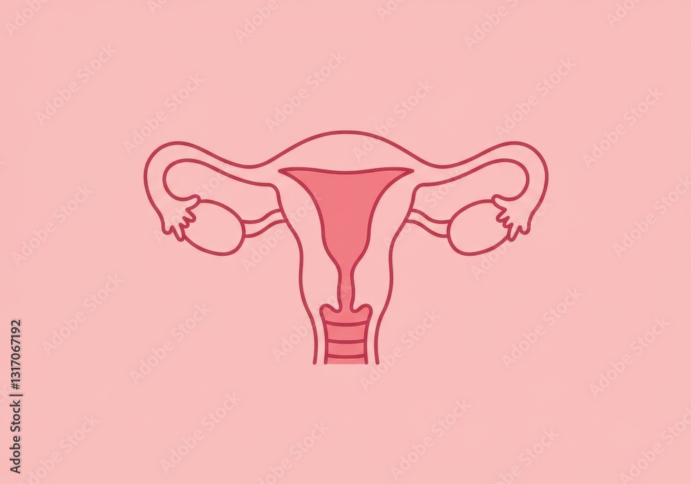 Female reproductive system, anatomical diagram, uterus and ovaries, minimalist line art, pink ...