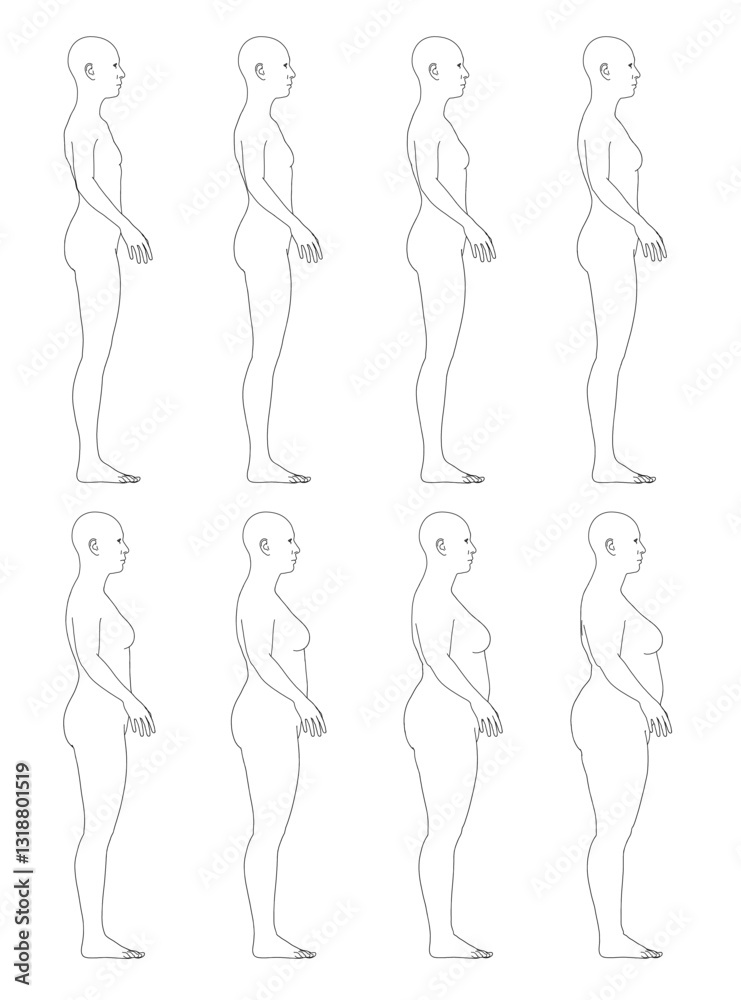 Vector illustration of female body sequence outline from thin to fat ...