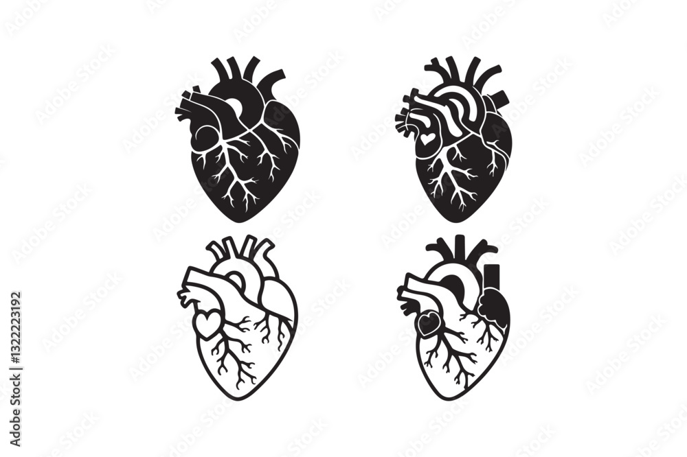 Anatomical Human Heart Silhouette Medical Illustration Vector Clipart ...