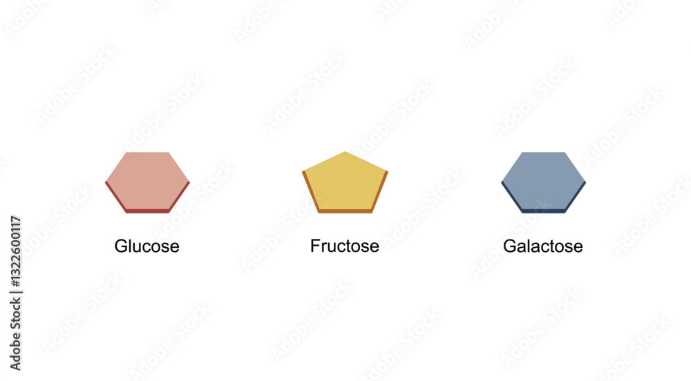 Monosaccharides, glucose, galactose and Fructose molecules, chemical ...